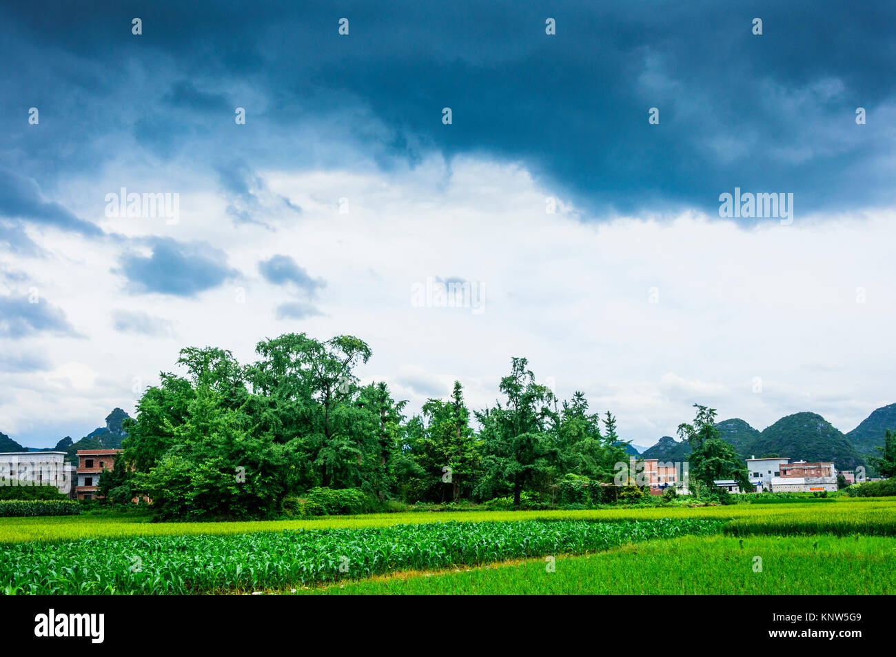 Beautiful rural scenery in summer Stock Photo - Alamy