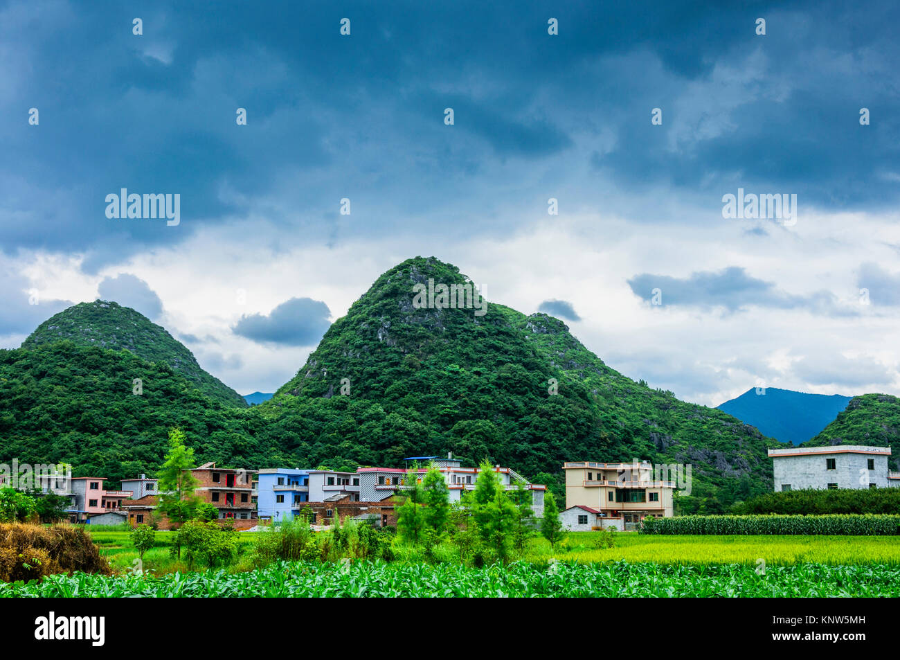 Beautiful rural scenery in summer Stock Photo - Alamy