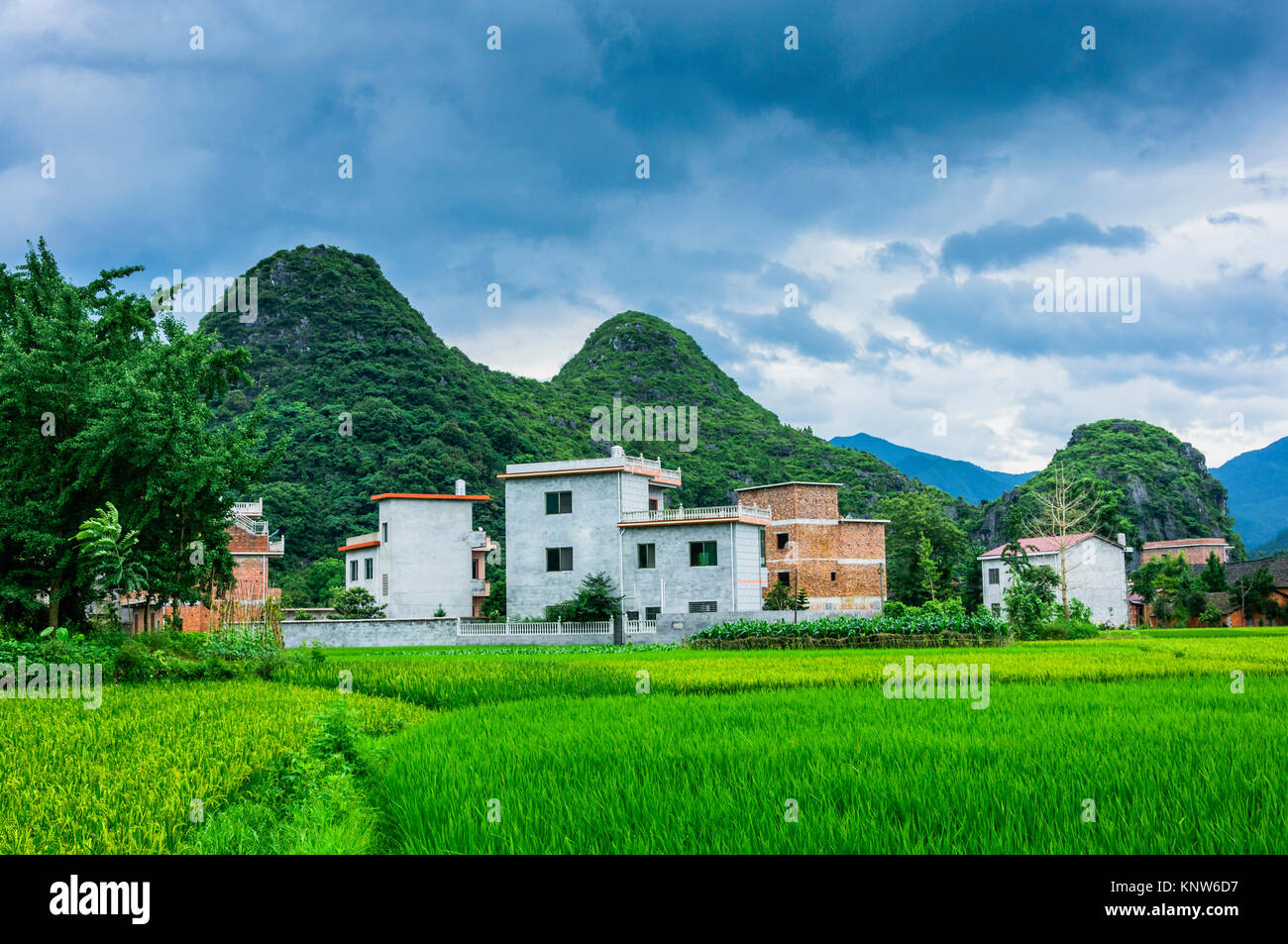 Beautiful rural scenery in summer Stock Photo - Alamy