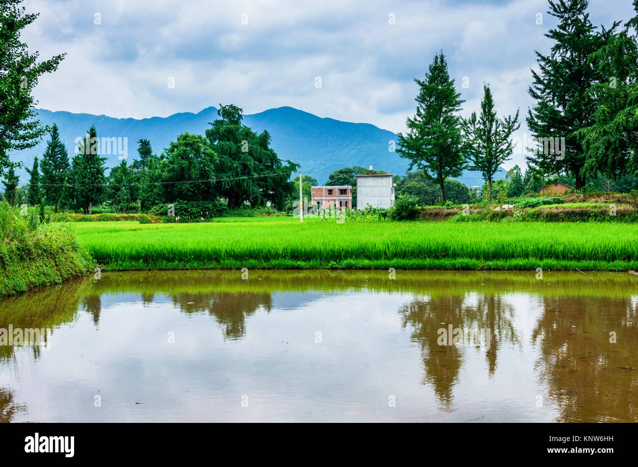 Beautiful rural scenery in summer Stock Photo - Alamy
