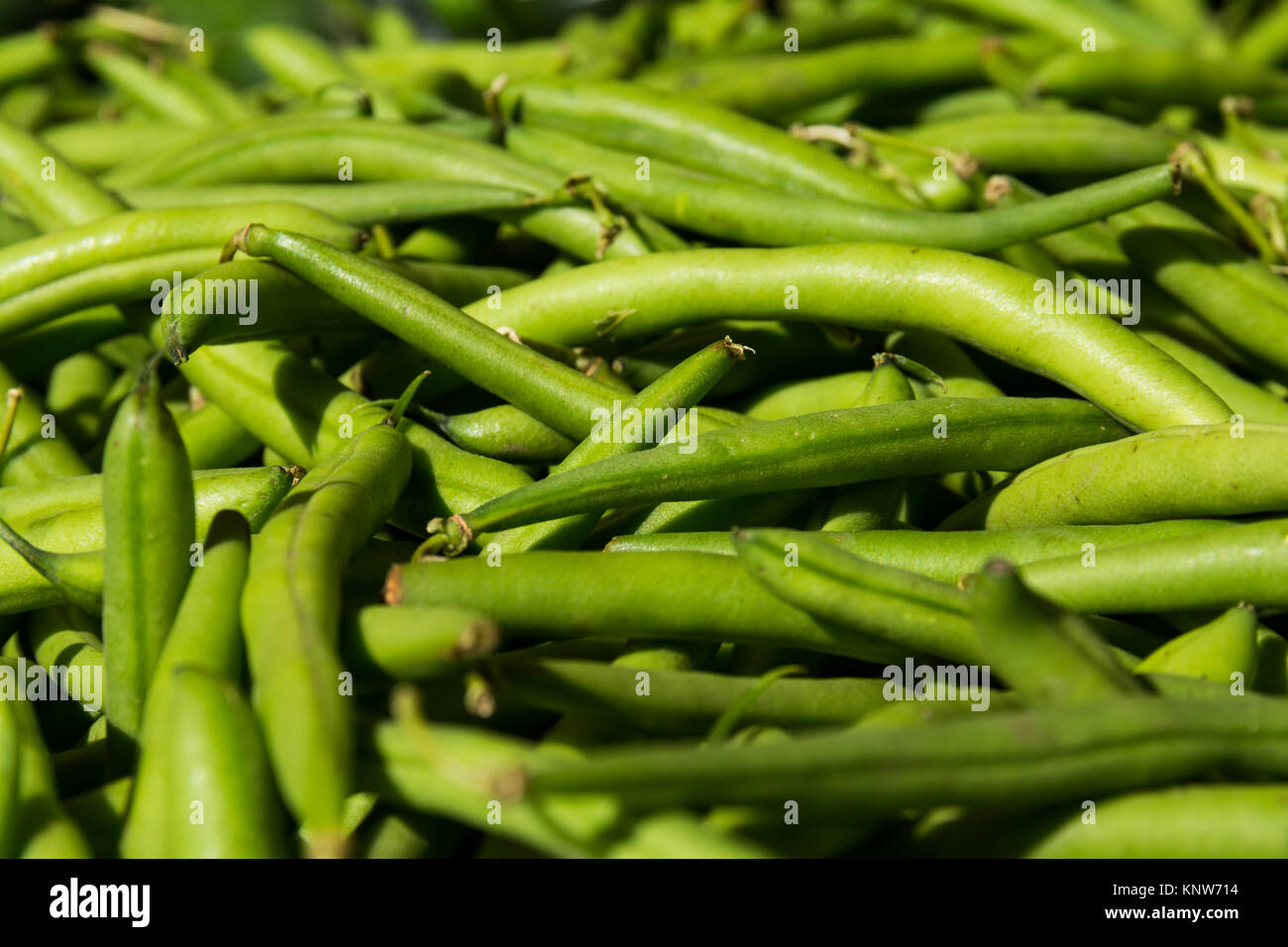 Macro of Bunch of Fresh Green Beans at Local Food Market Stock Photo ...