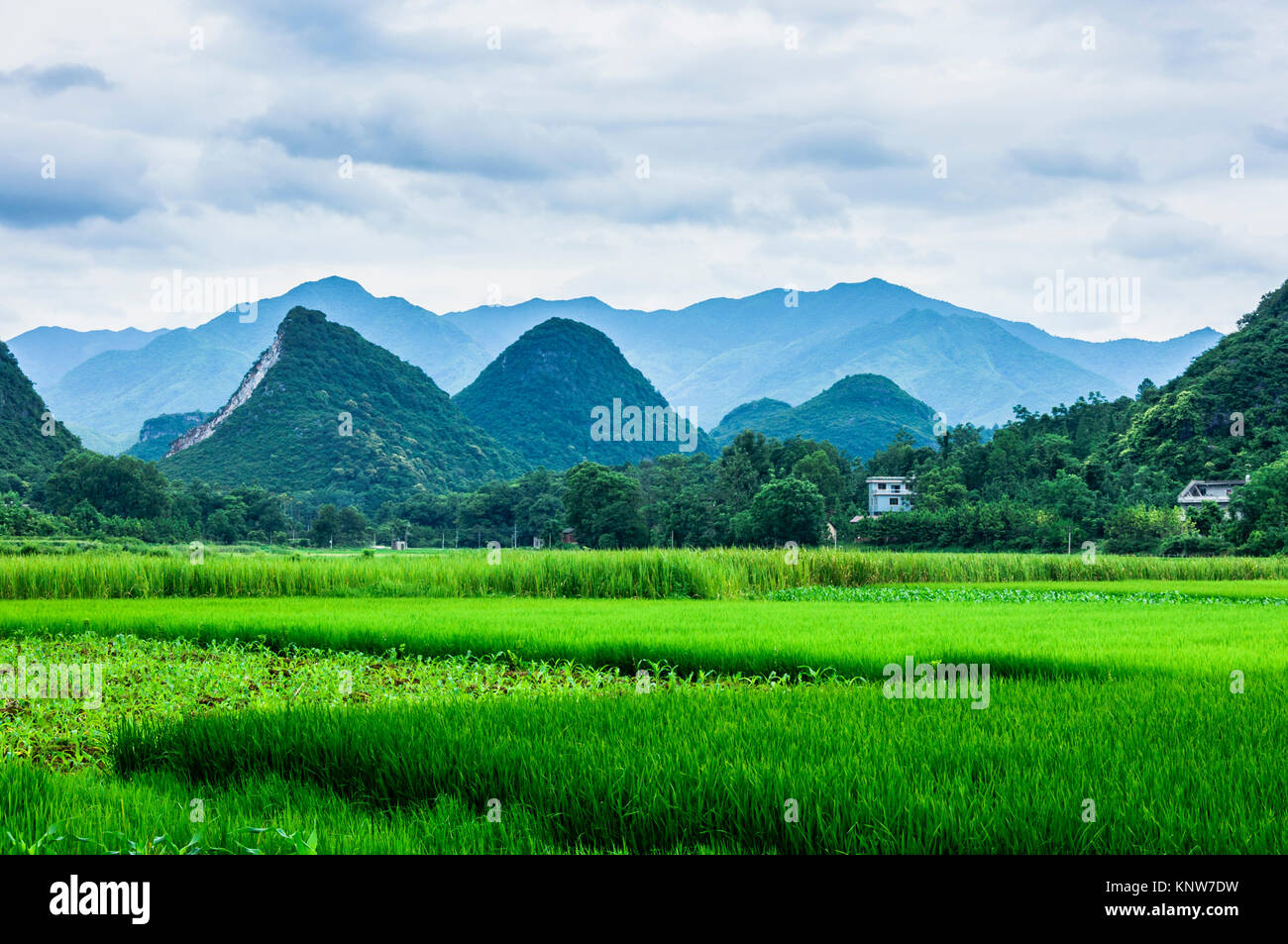 Beautiful rural scenery in summer Stock Photo - Alamy