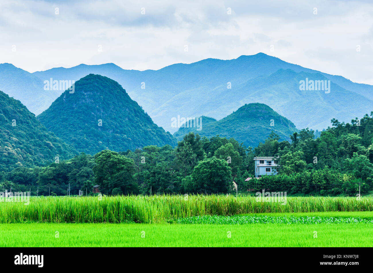 Beautiful rural scenery in summer Stock Photo - Alamy
