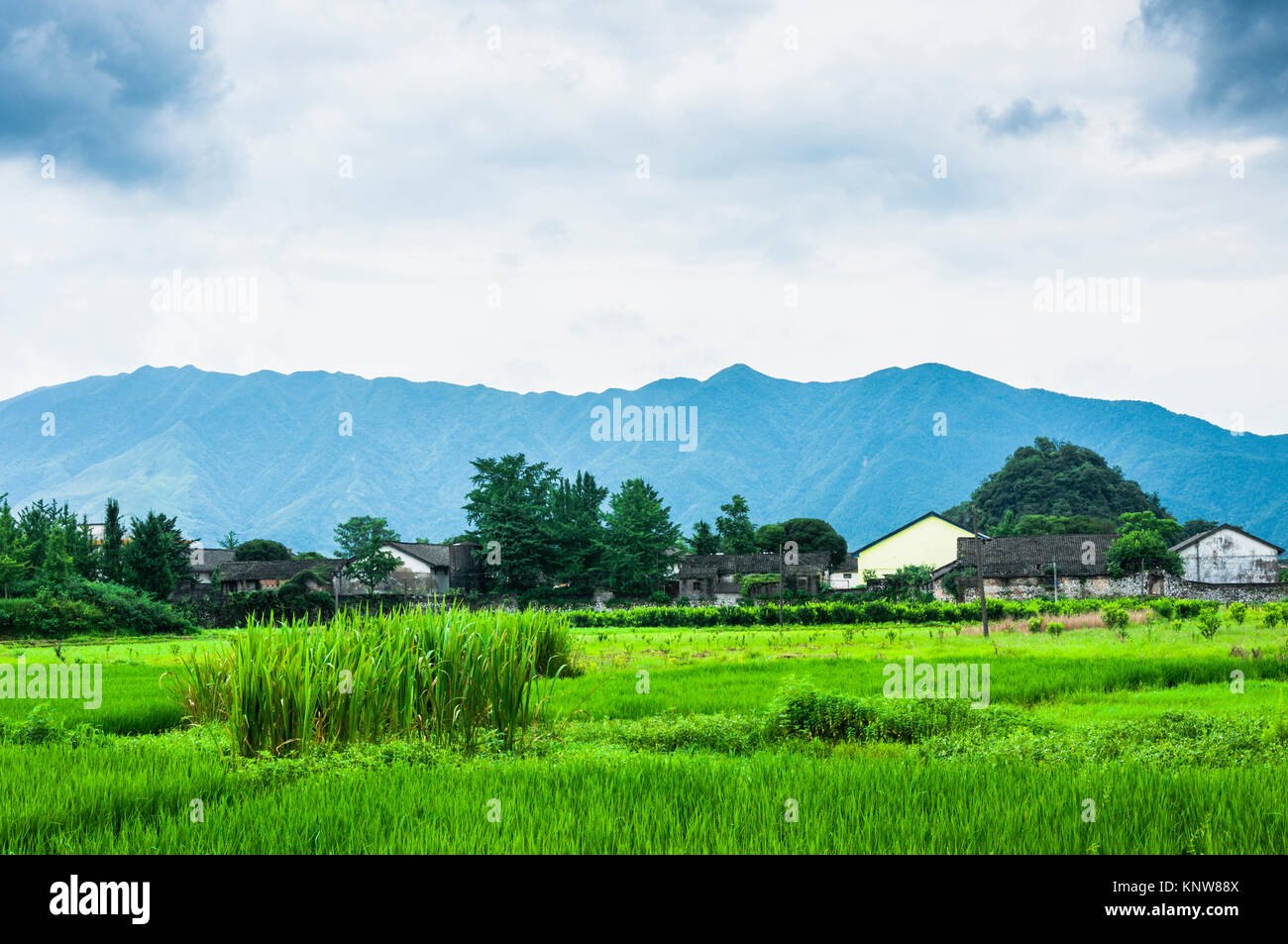 Beautiful rural scenery in summer Stock Photo - Alamy