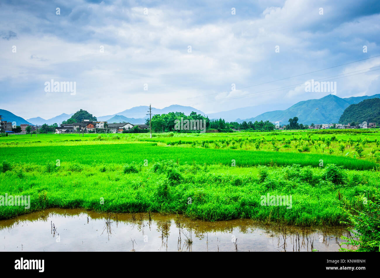 Beautiful rural scenery in summer Stock Photo - Alamy