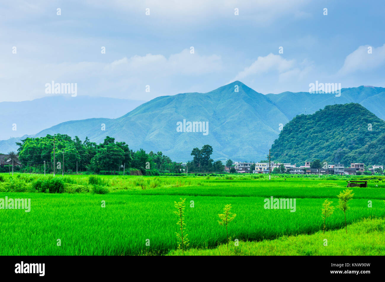Beautiful rural scenery in summer Stock Photo - Alamy