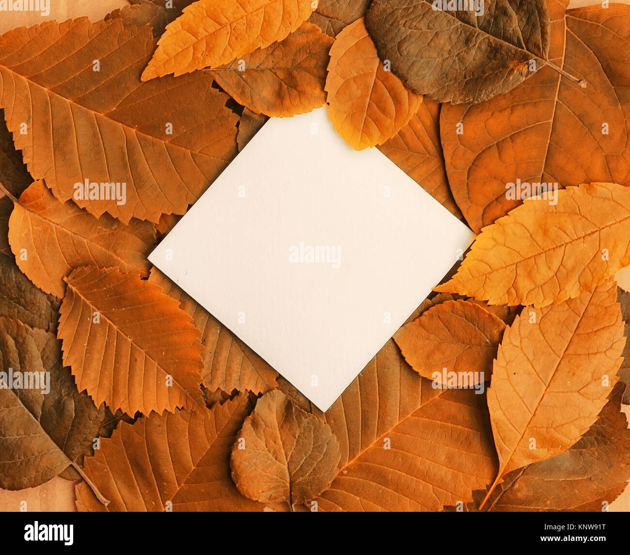 Background of yellow leaves with a paper form in the center Stock Photo ...