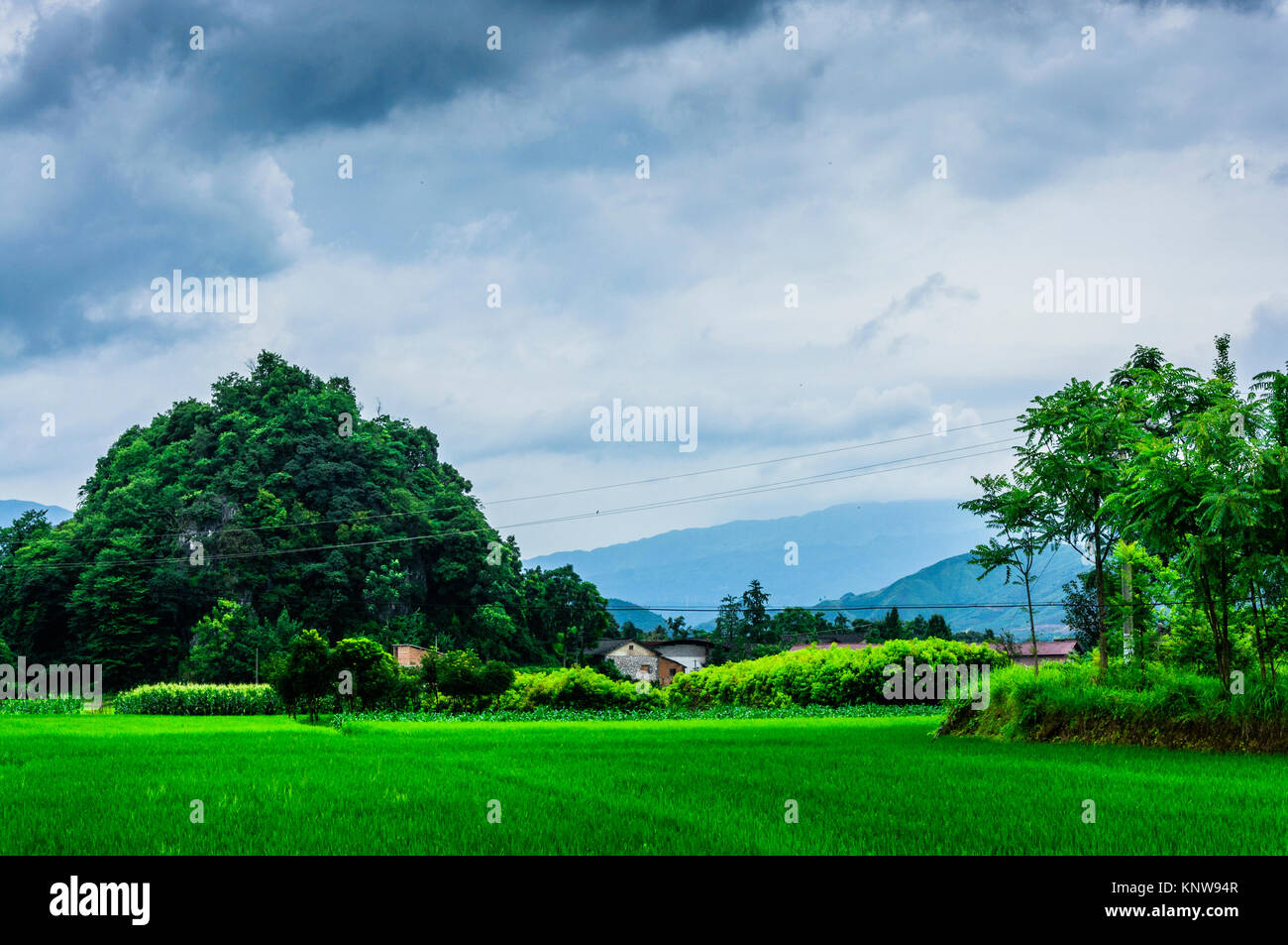Beautiful rural scenery in summer Stock Photo - Alamy