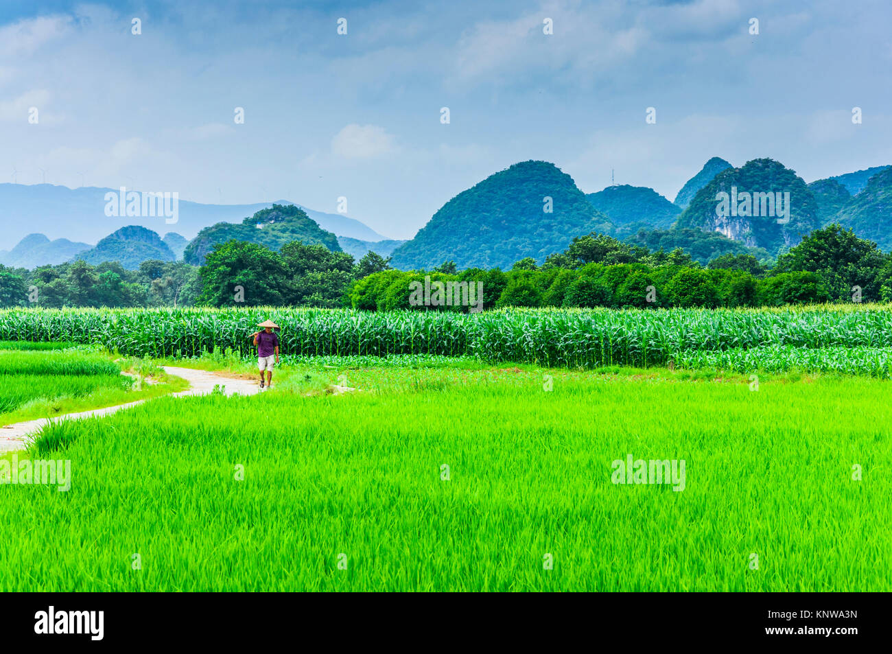 Beautiful rural scenery in summer Stock Photo - Alamy