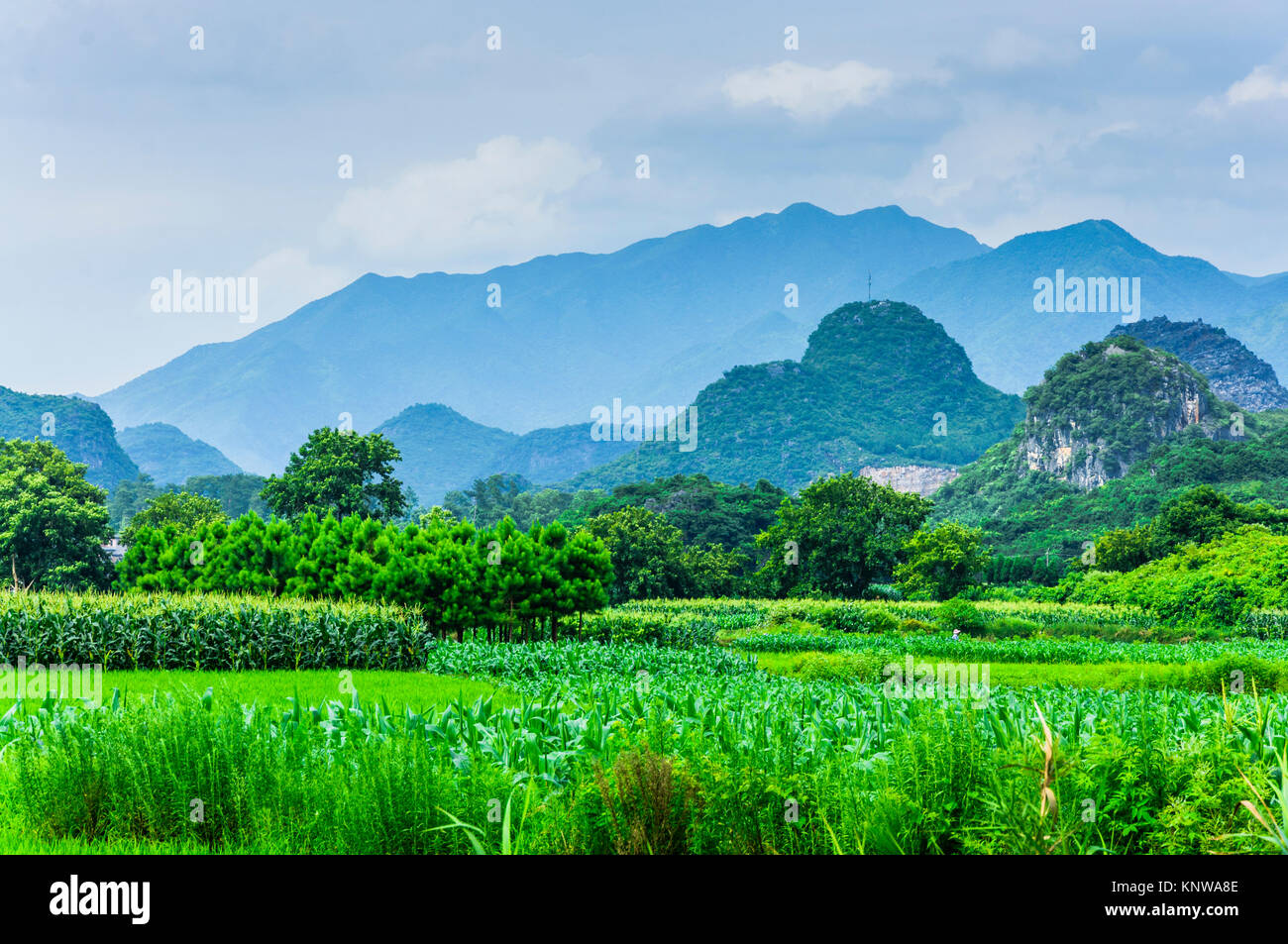 Beautiful rural scenery in summer Stock Photo - Alamy