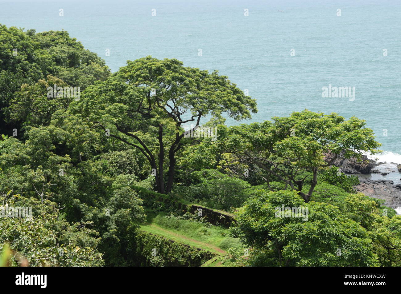 Sea view from mountain. Sea, trees and mountain. Rocky sea view with ...