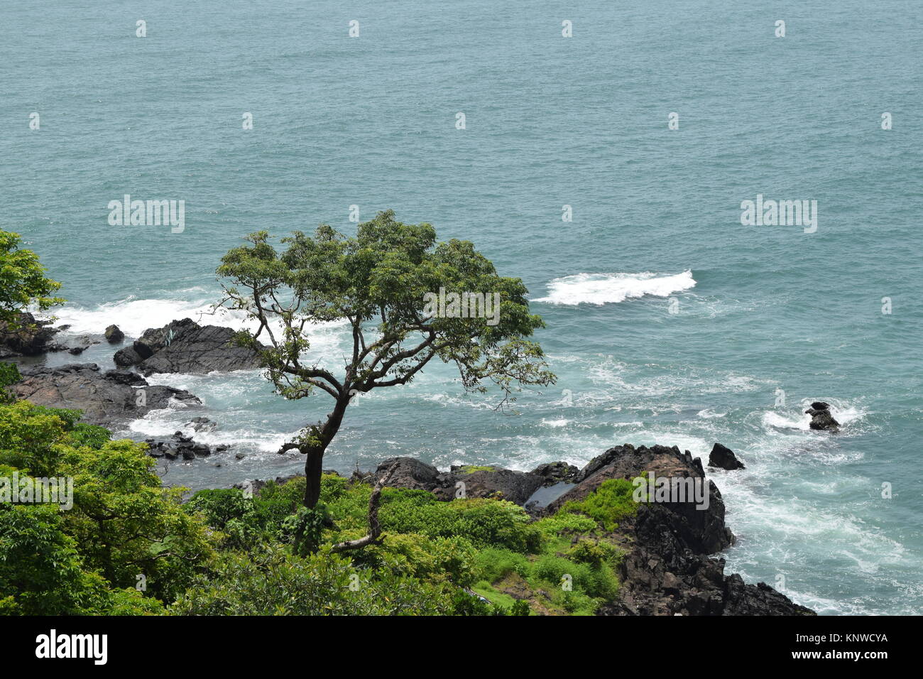 Sea view from mountain. Sea, trees and mountain. Rocky sea view with ...