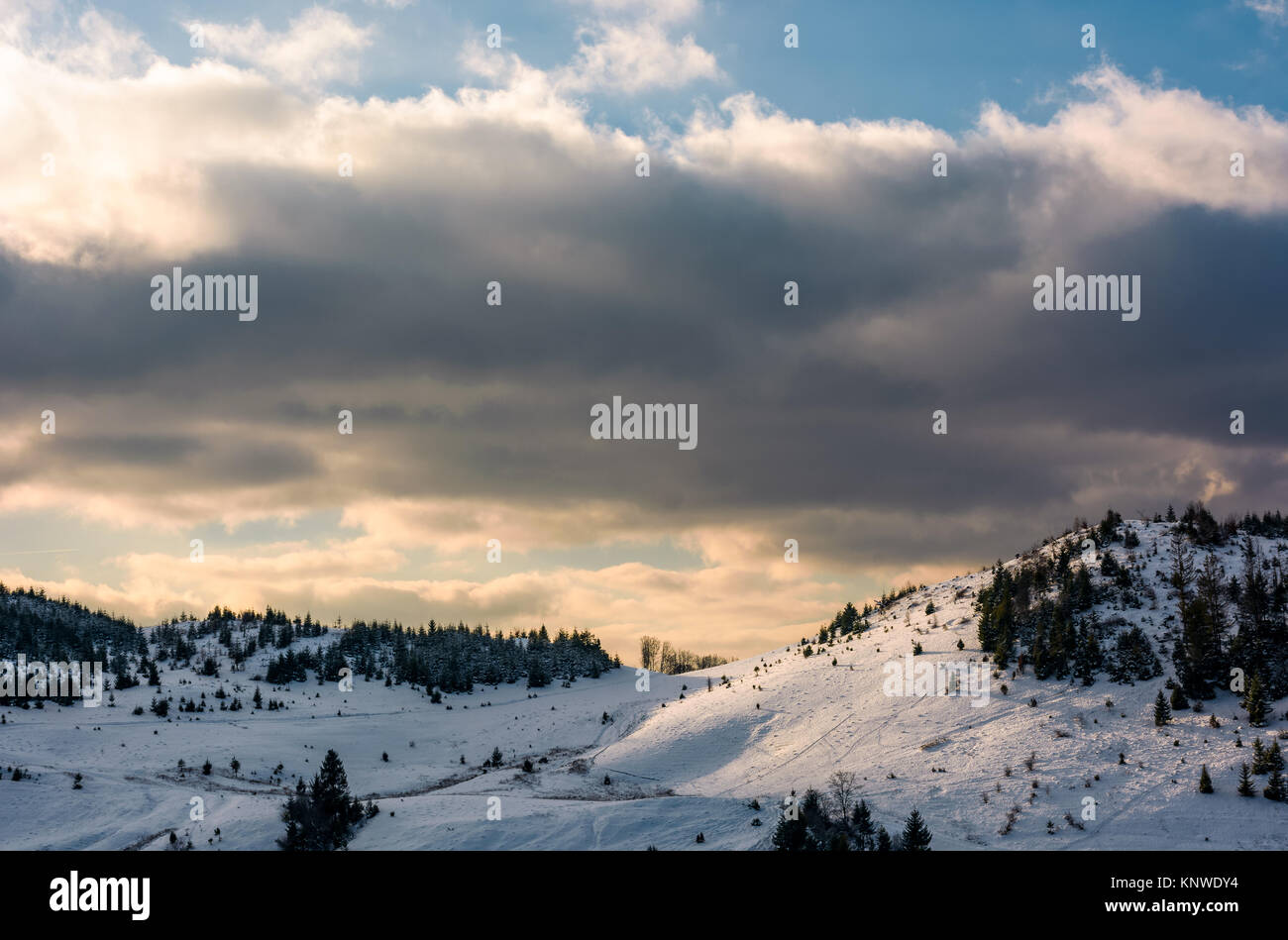 forested hillside covered with snow. lovely winter nature scenery Stock ...