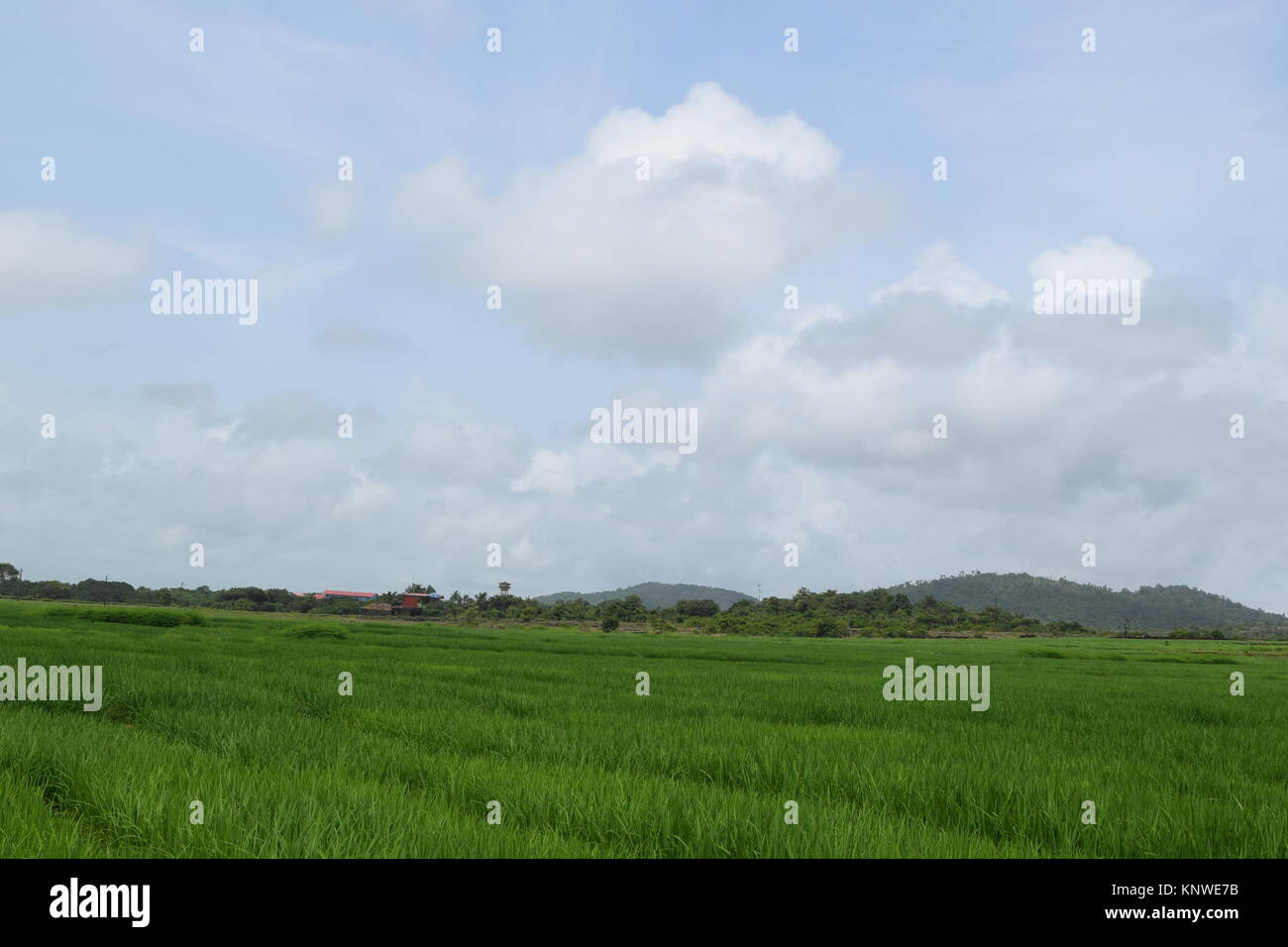 Green farms for farm house or farms for sale photos. Beautiful farms ...