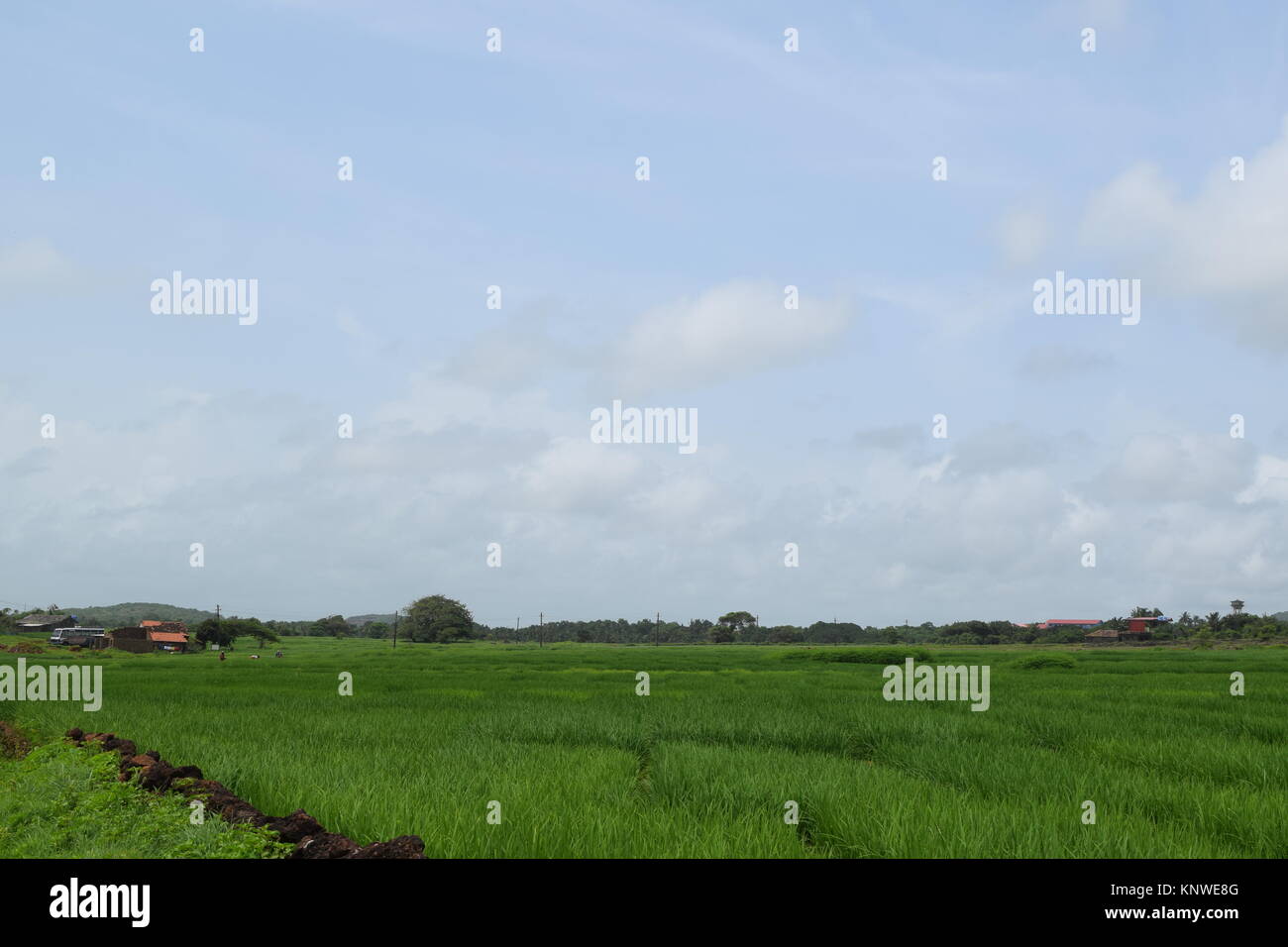 Green farms for farm house or farms for sale photos. Beautiful farms ...