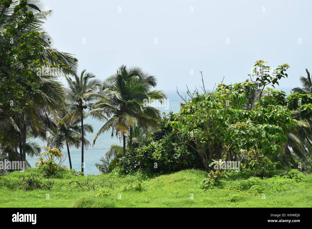 Sea view from mountain. Sea, trees and mountain. Rocky sea view with ...