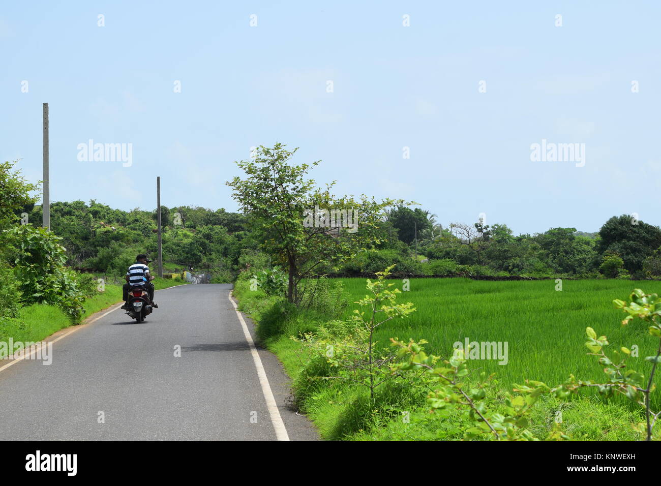 Asphalt roads with greenery in side. Amazing, beautiful road view ...
