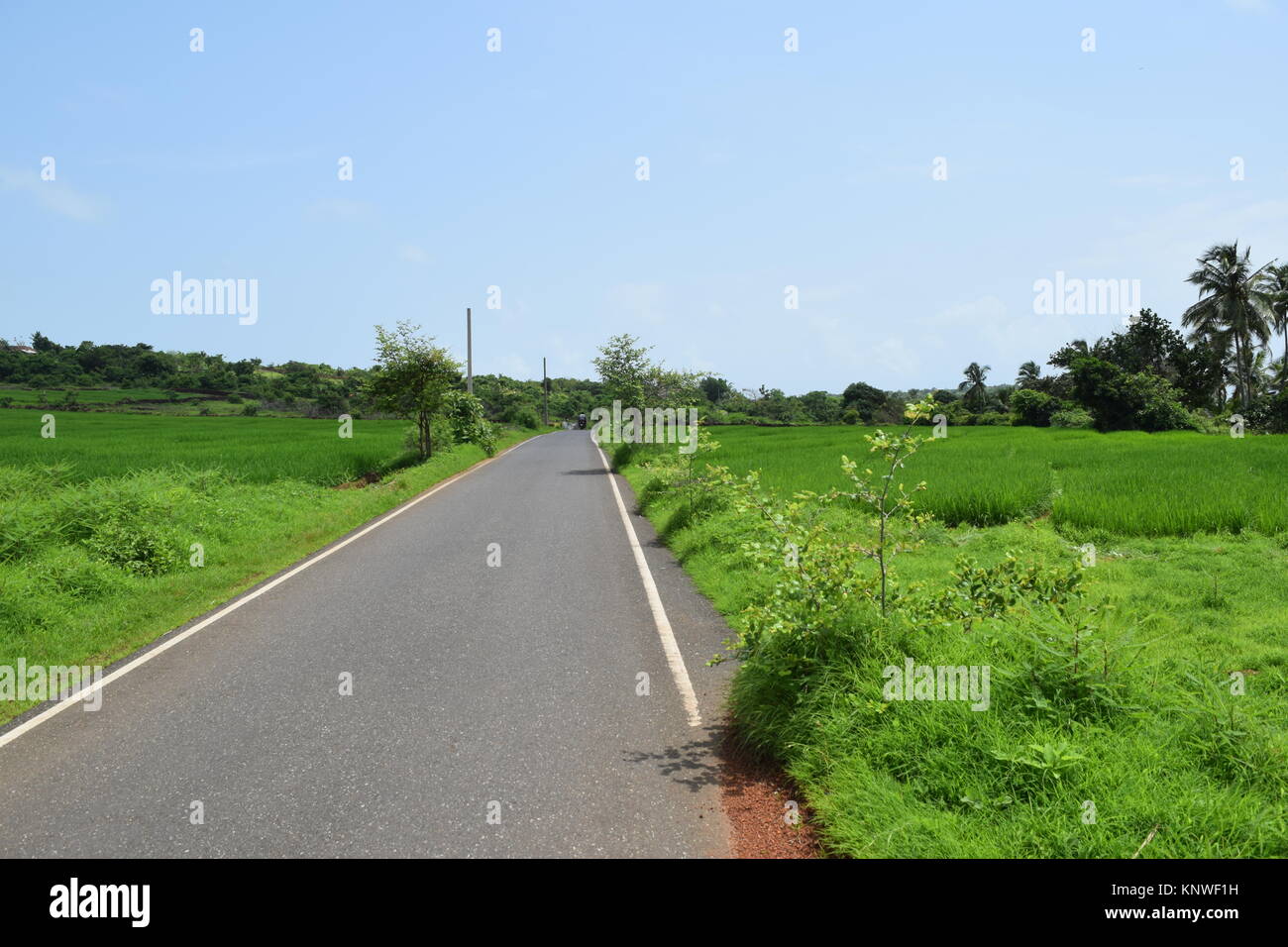 Side street in goa hi-res stock photography and images - Alamy