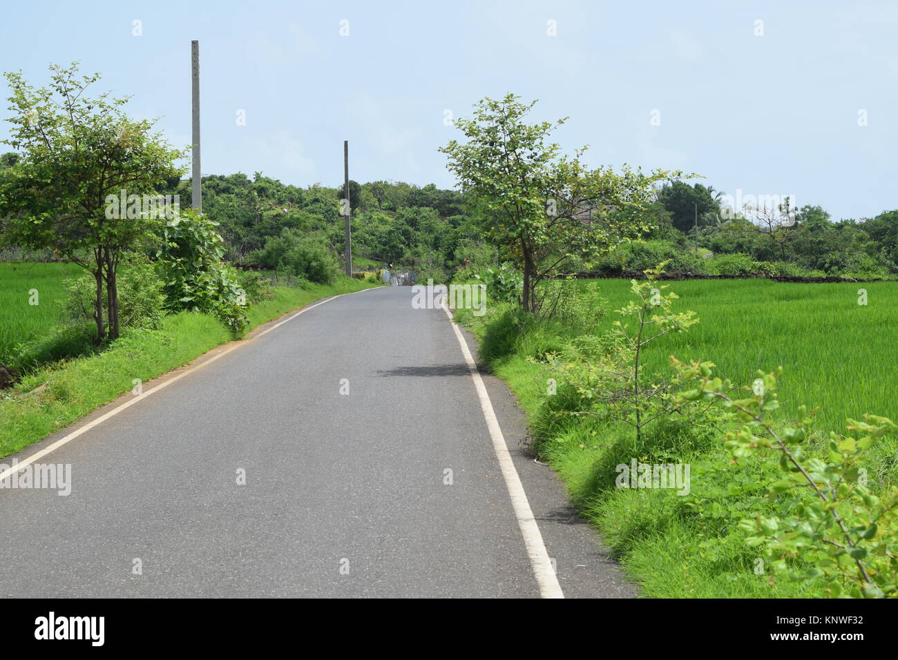 Asphalt roads with greenery in side. Amazing, beautiful road view ...