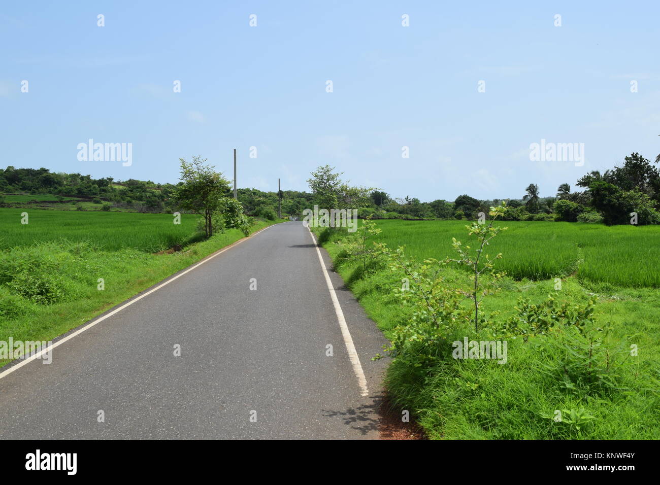 Asphalt roads with greenery in side. Amazing, beautiful road view ...