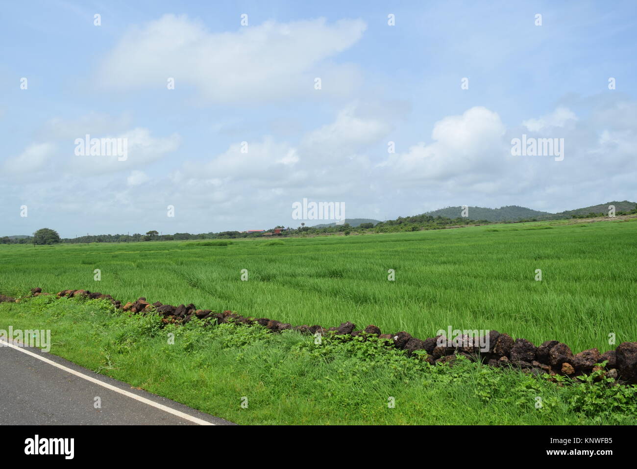 Green farms for farm house or farms for sale photos. Beautiful farms ...