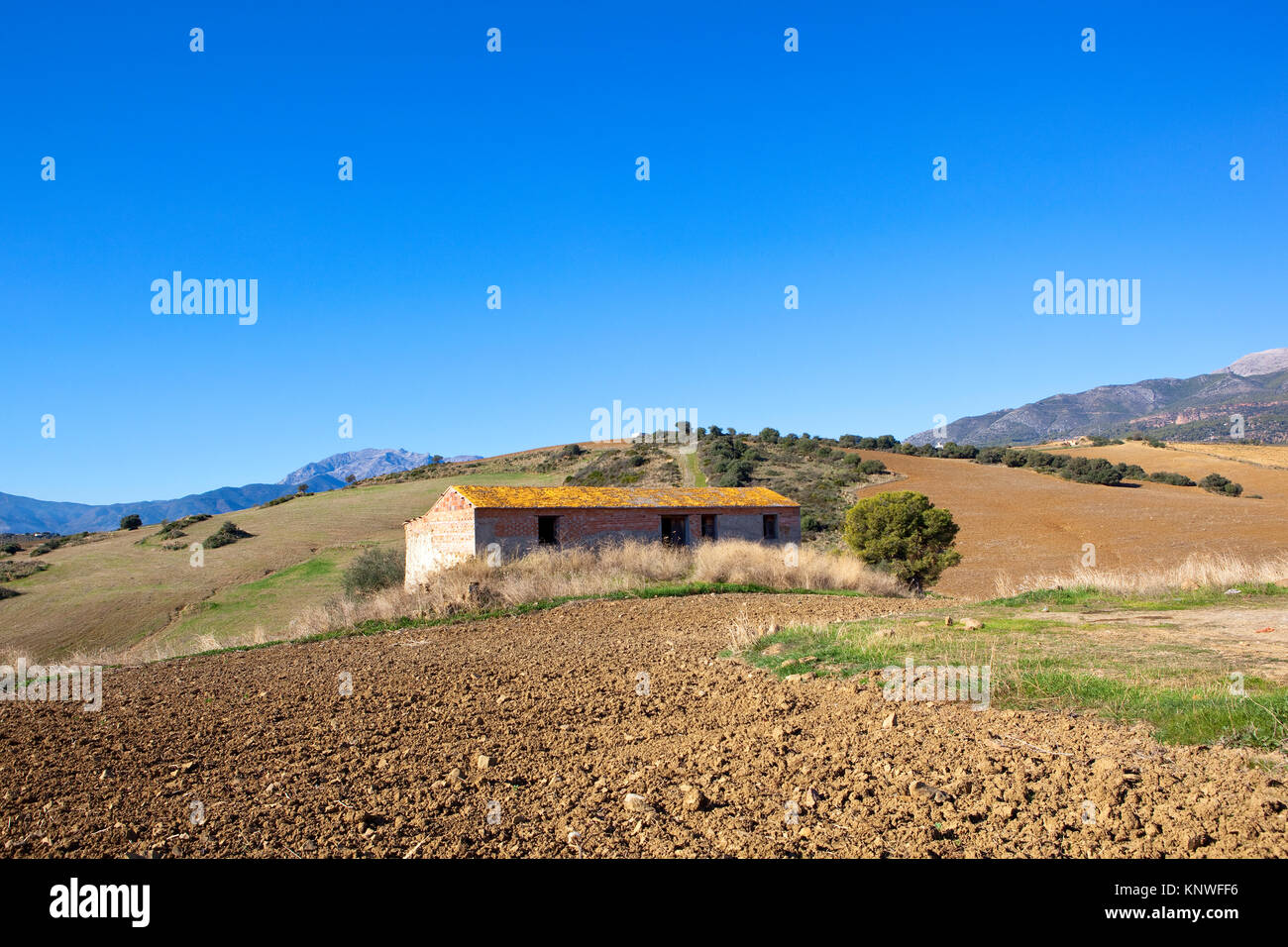 scenic arable landscape in andalucia spain with a farm building and ...