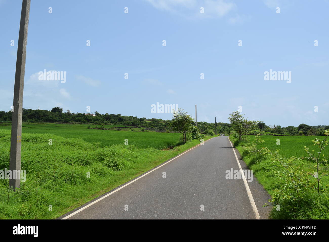 Asphalt roads with greenery in side. Amazing, beautiful road view ...