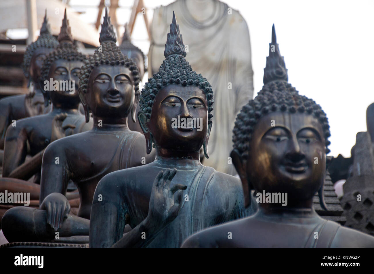 Many Buddha statues Colombo,Sri Lanka Stock Photo - Alamy