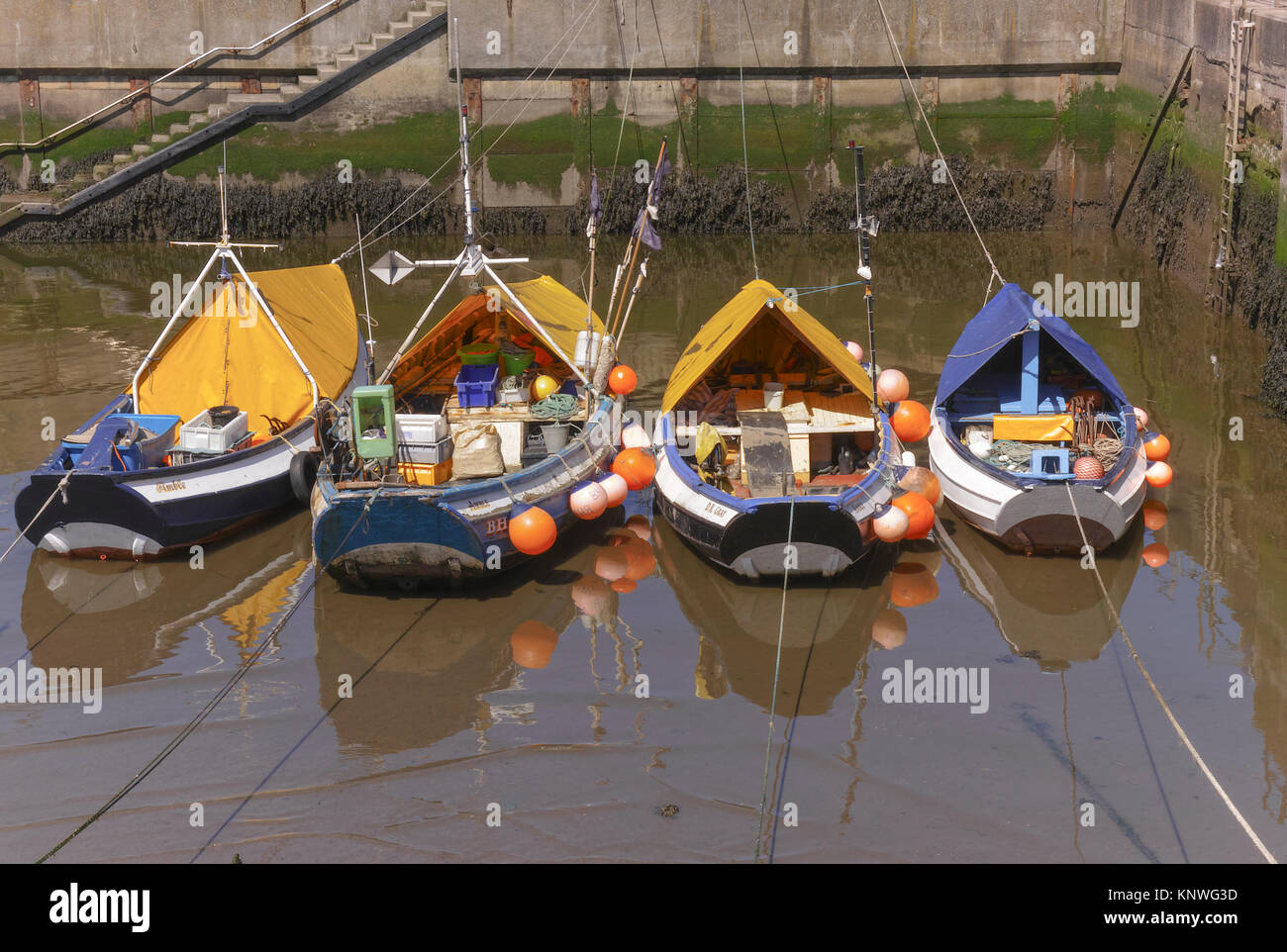 Fishing cobles tied up in a row inside the sheltered part of Amble ...