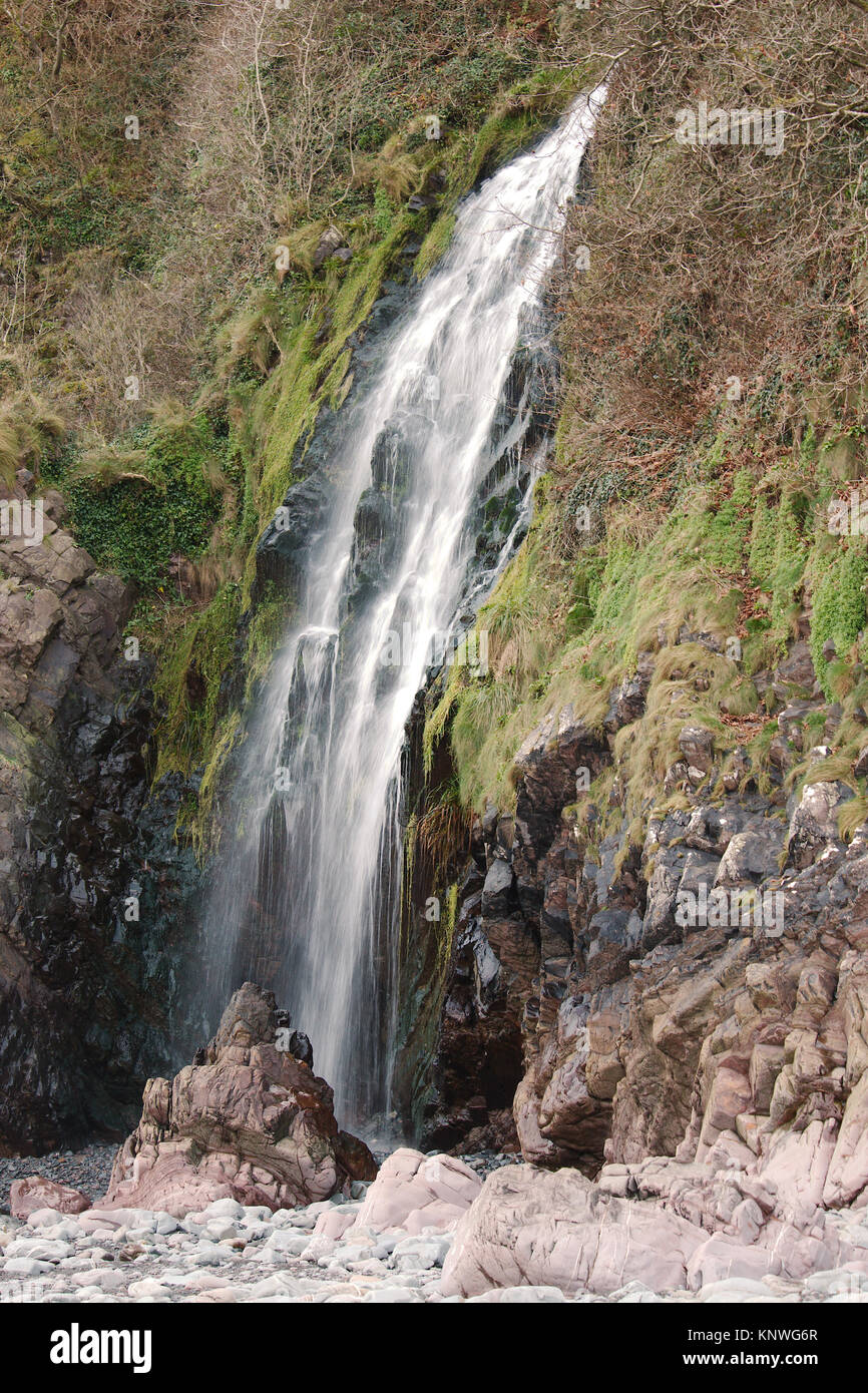 A coastal waterfall cascading on to a pebble beach. Clovelly, Devon, UK ...