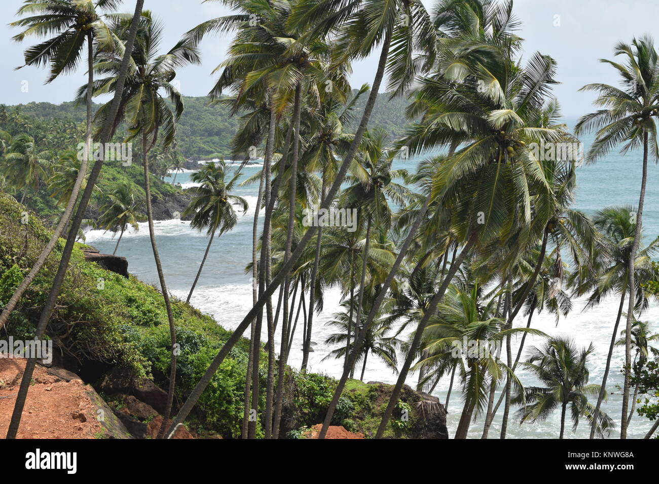Sea view from mountain. Sea, trees and mountain. Rocky sea view with ...