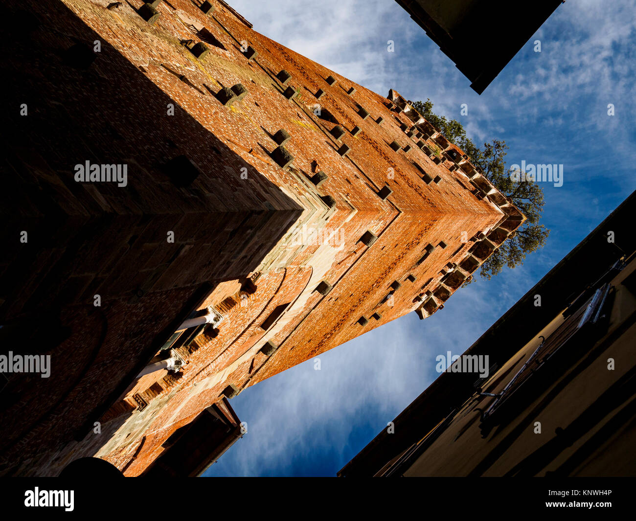 The Guinigi tower, Lucca Italy Stock Photo - Alamy