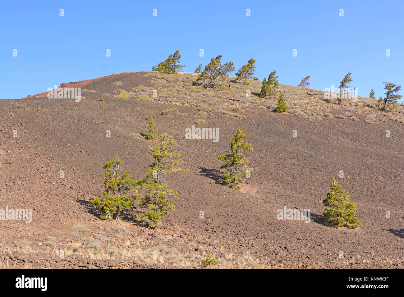 Barren Landscape on a Volcanic Cinder Cone in Craters of the Moon ...