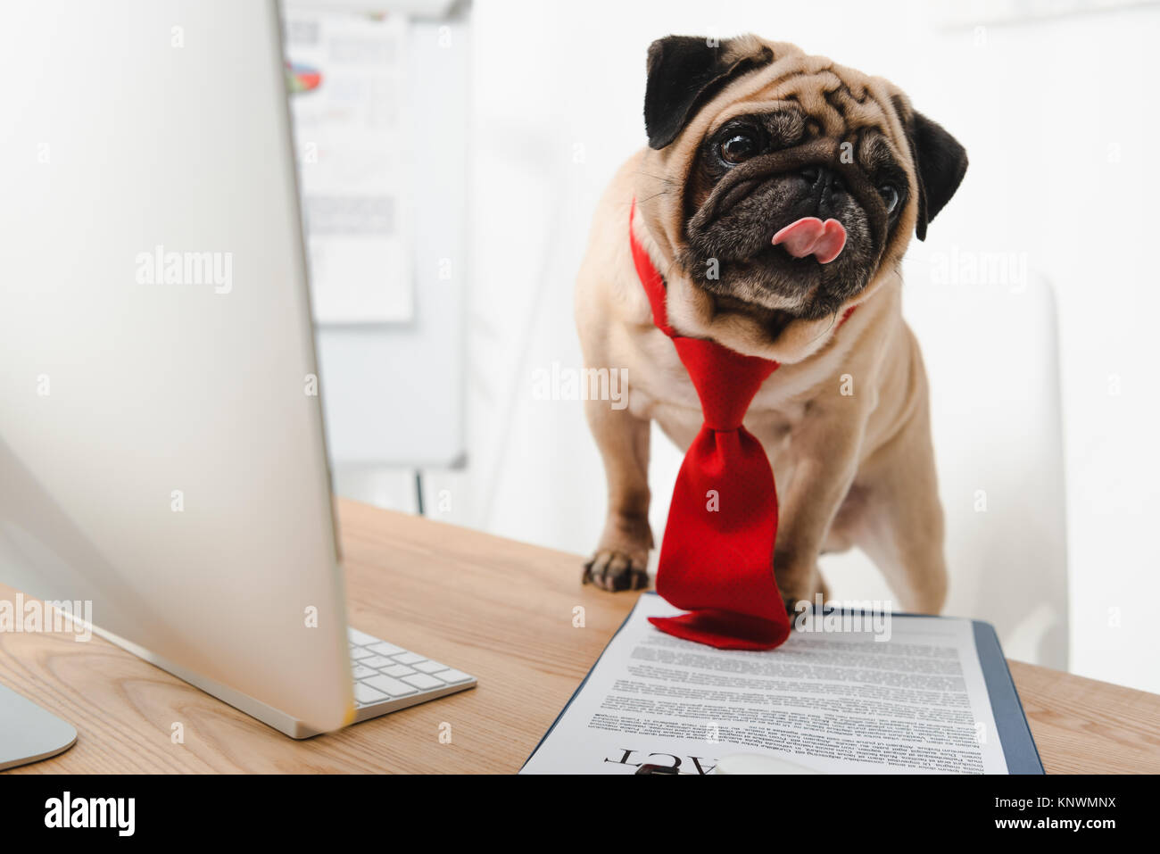 Office paperwork funny hi-res stock photography and images - Alamy