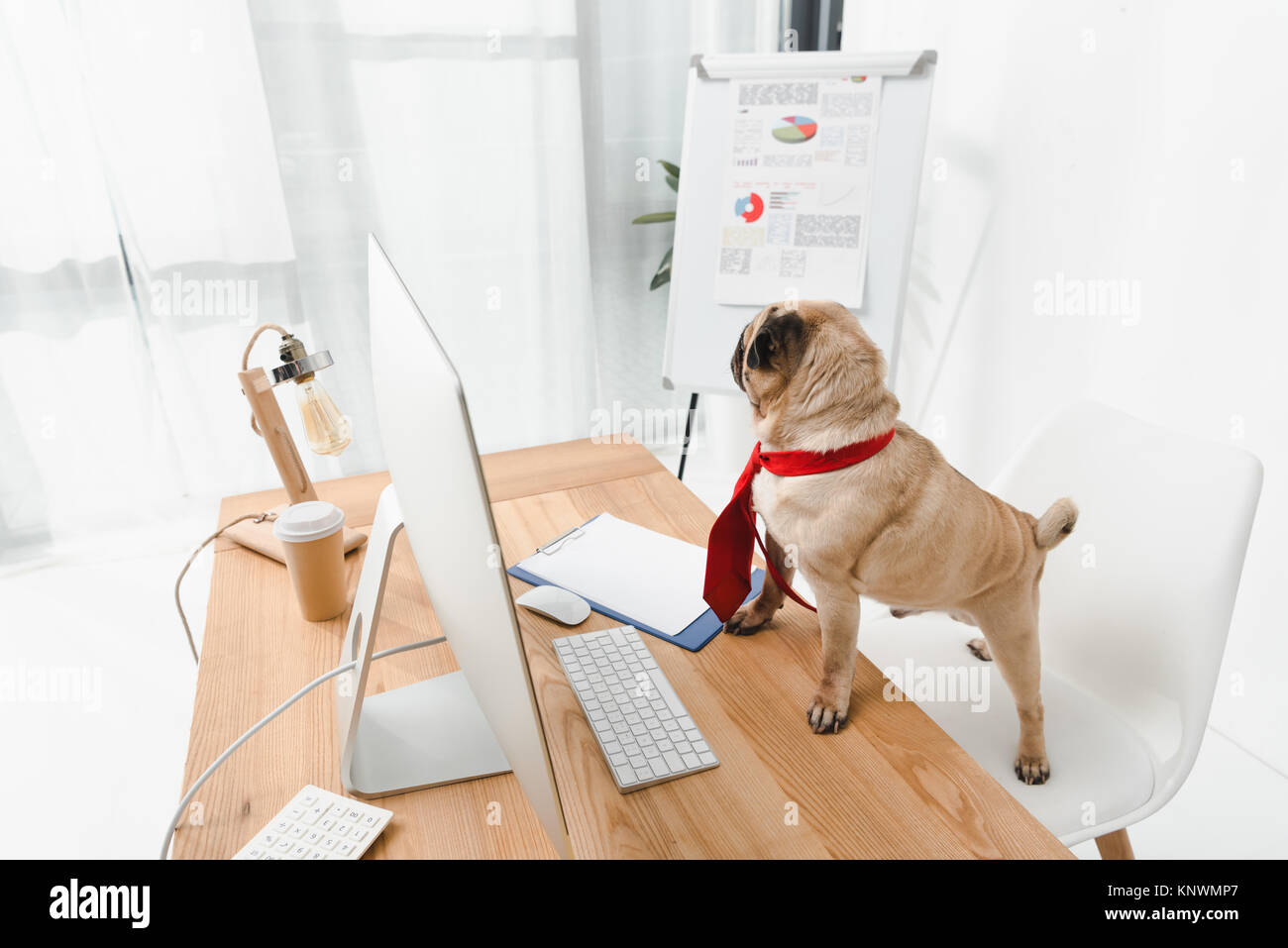 Office paperwork funny hi-res stock photography and images - Alamy