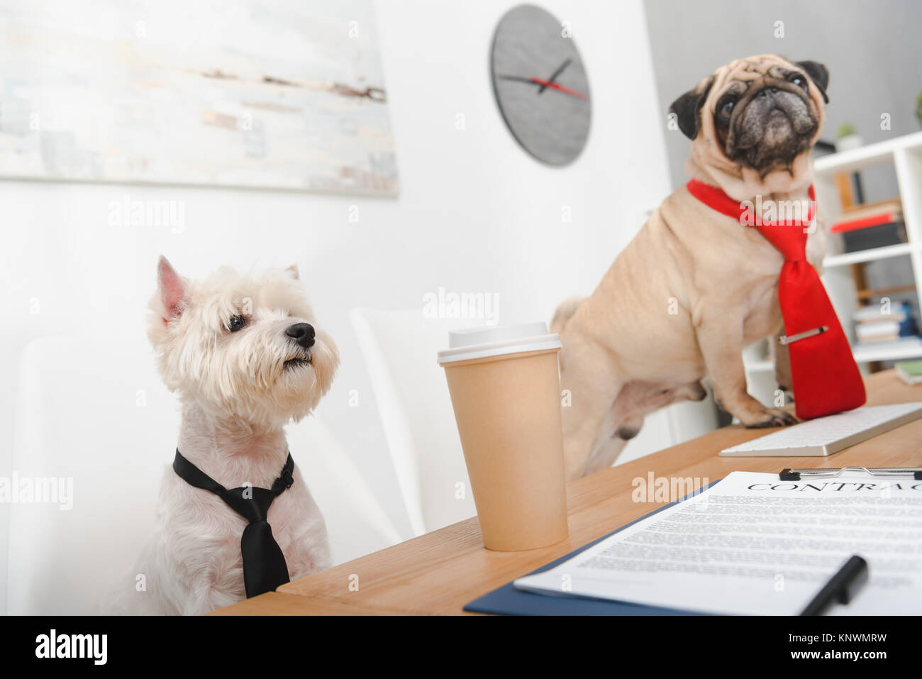 Office paperwork funny hi-res stock photography and images - Alamy