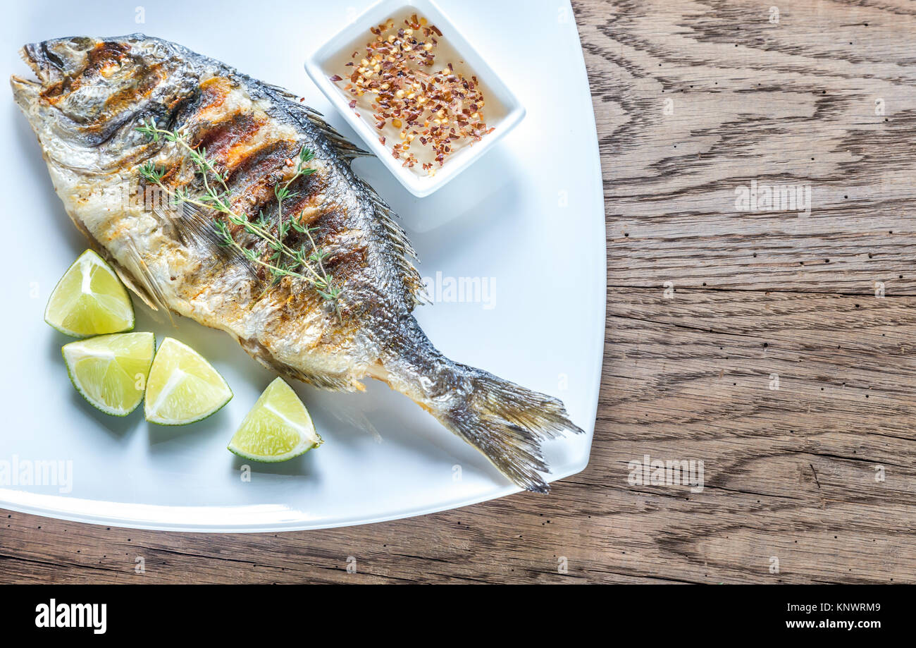 Dorade Royale Fish Stock Photo - Alamy