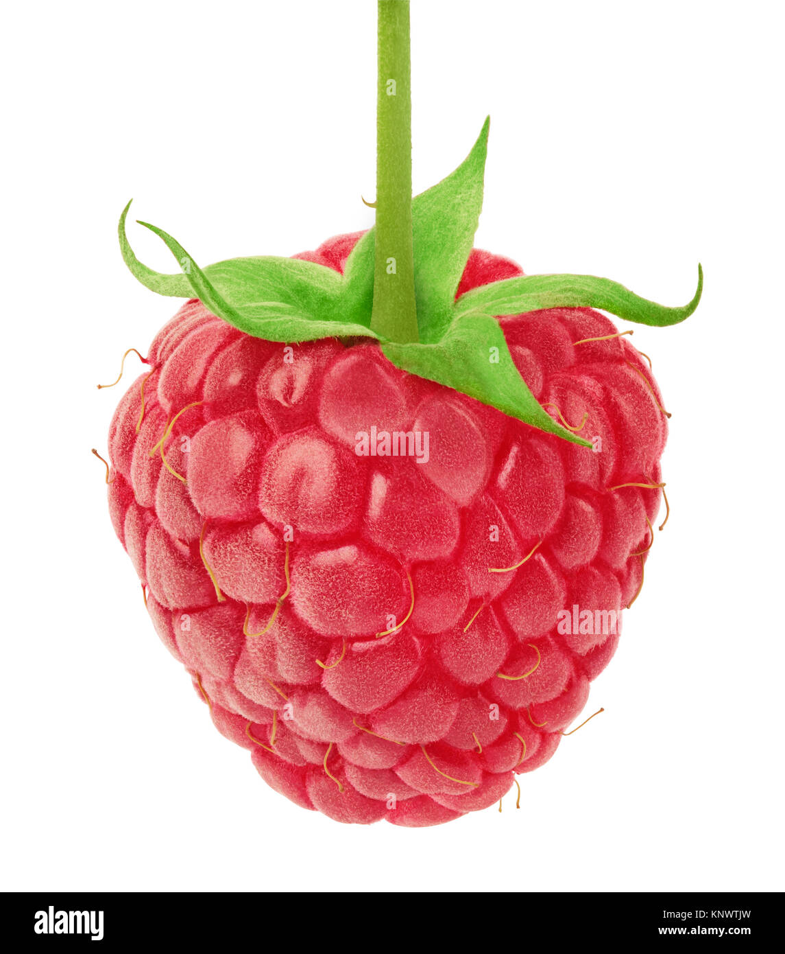 Ripe raspberry isolated Stock Photo - Alamy