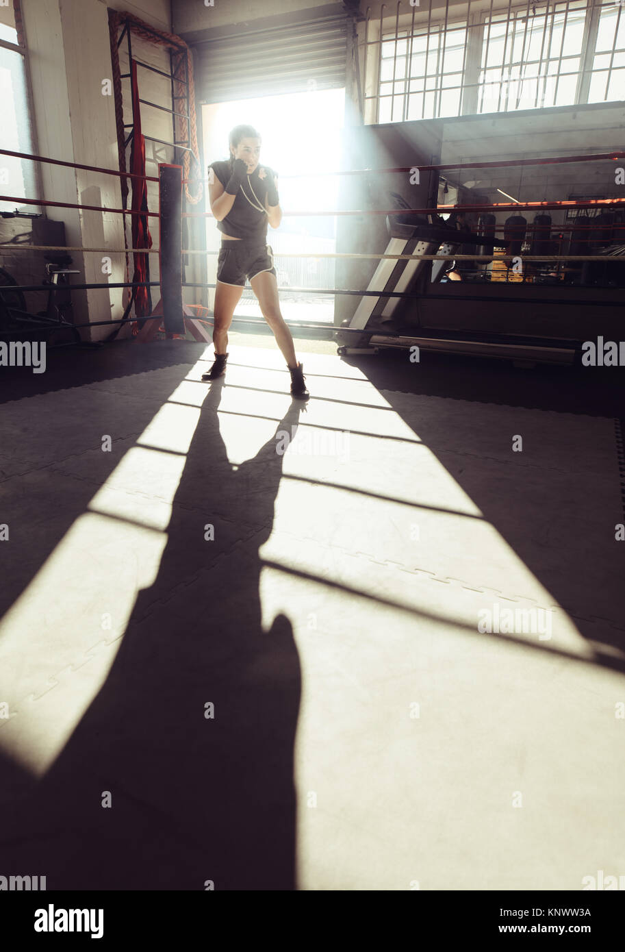 Female boxer doing shadow boxing inside a boxing ring. Boxer practicing ...