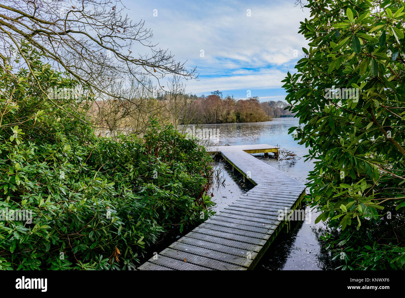 Bolam lake country park hi-res stock photography and images - Alamy