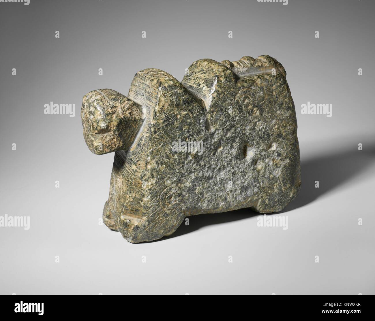 Identify animal hi-res stock photography and images - Alamy