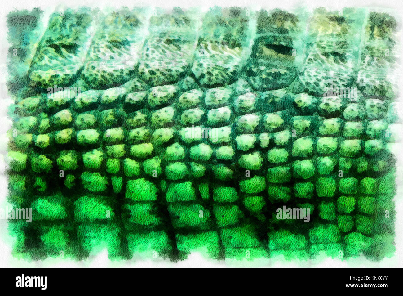 Crocodile skin pattern Stock Photo - Alamy
