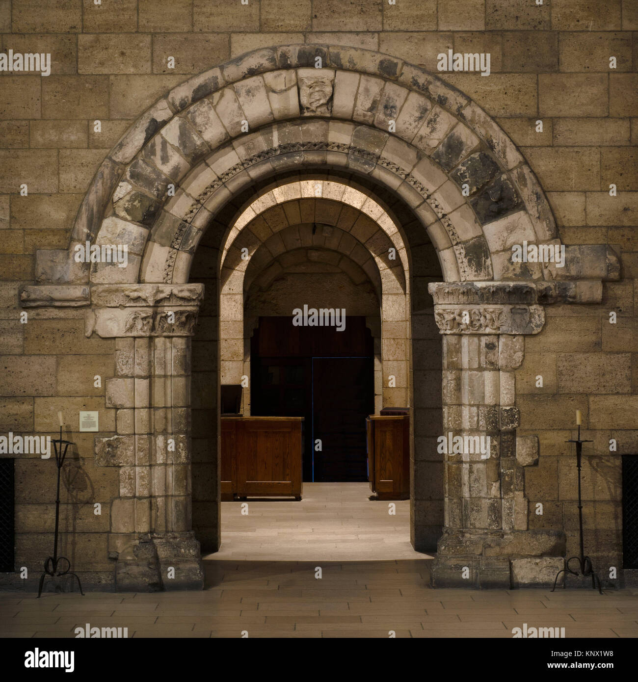 Classification of living beings hi-res stock photography and images - Alamy