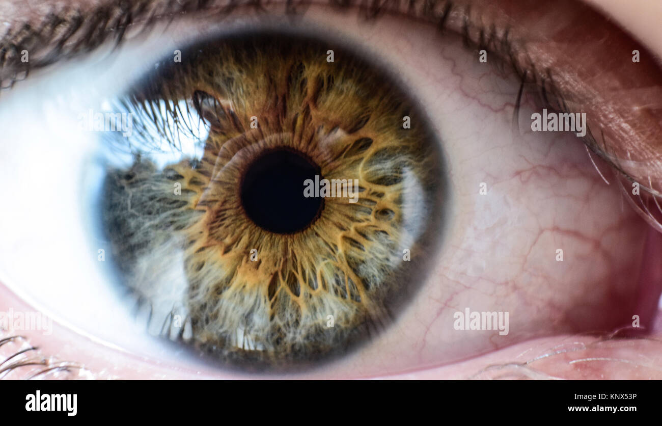 Close Up Photography Of Eyes