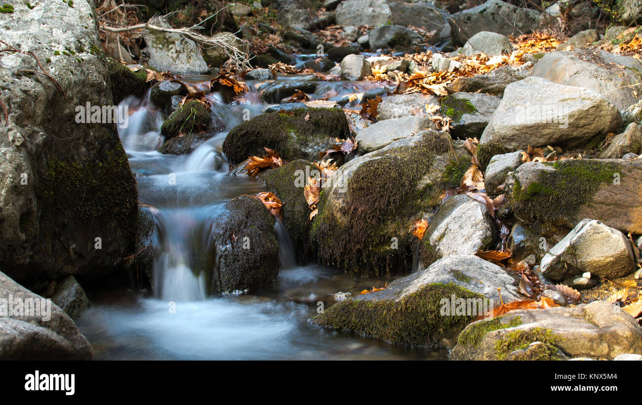 Natural water stream hi-res stock photography and images - Alamy