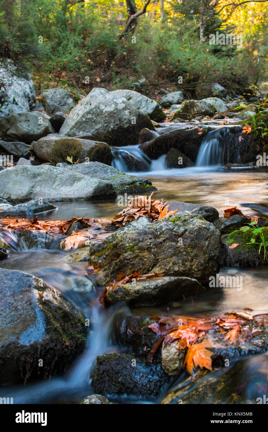 Natural water stream hi-res stock photography and images - Alamy