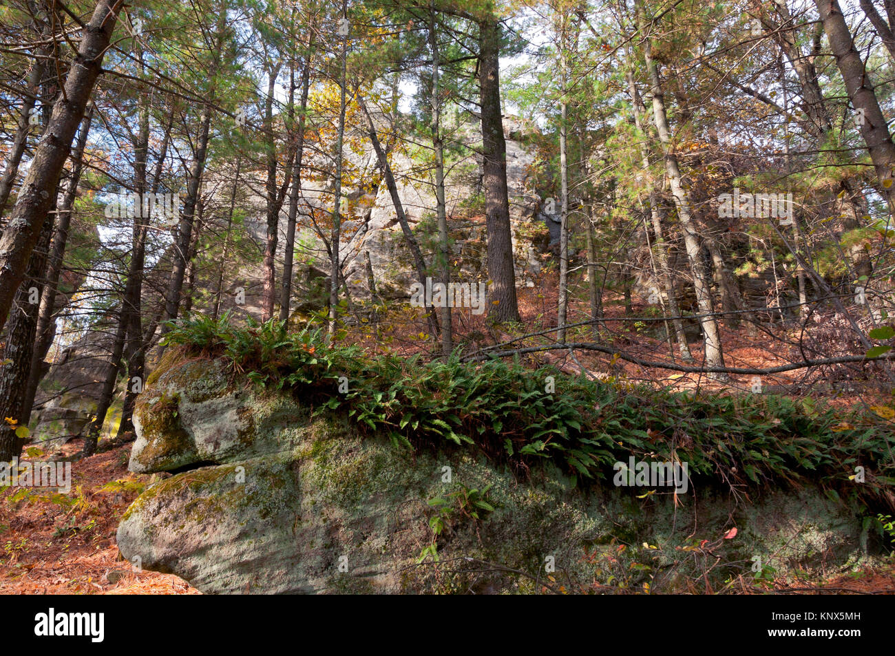 Petenwell hi-res stock photography and images - Alamy