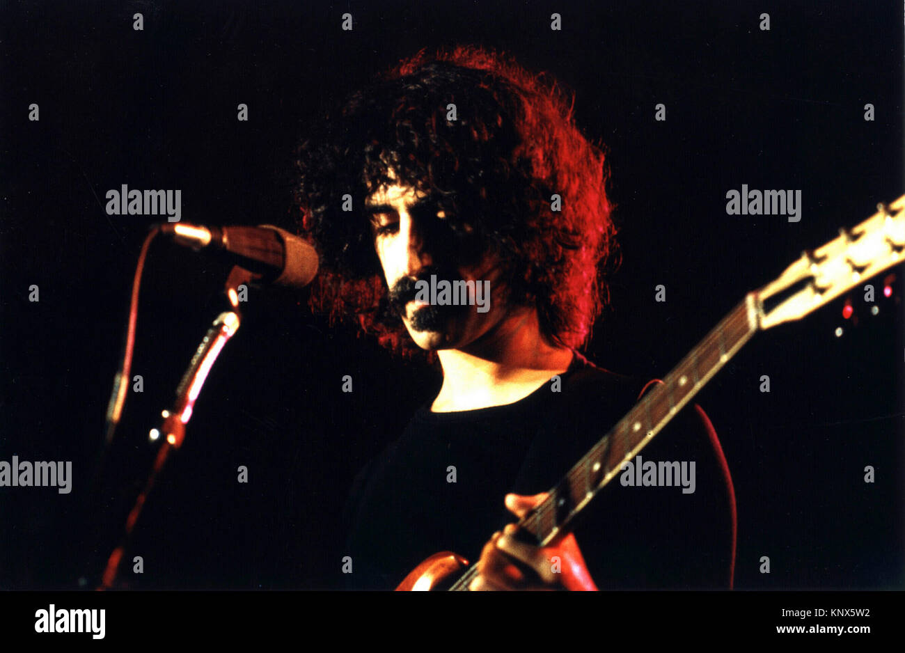 Frank zappa in concert hi-res stock photography and images - Alamy
