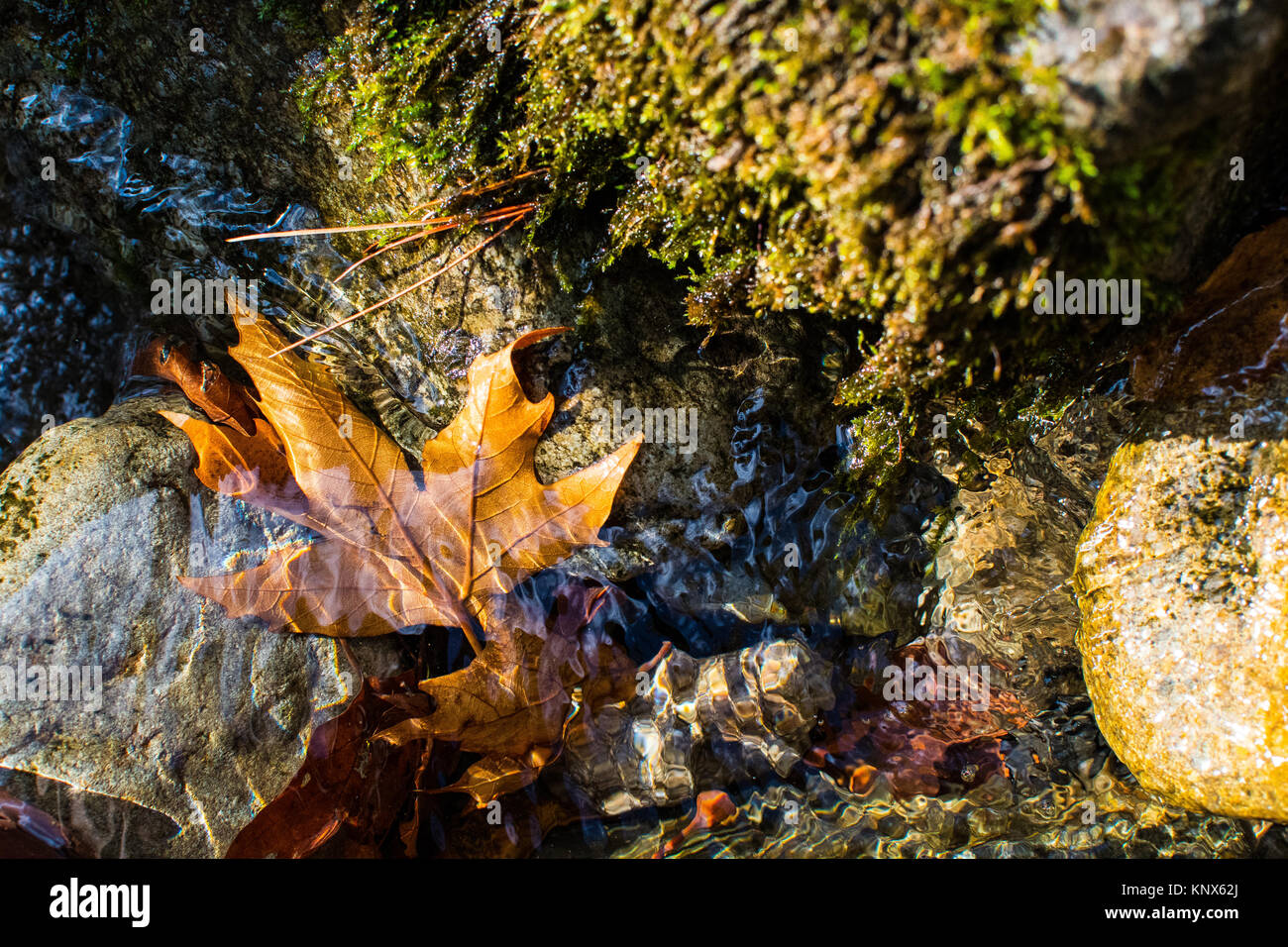 Smooth river rocks hi-res stock photography and images - Alamy