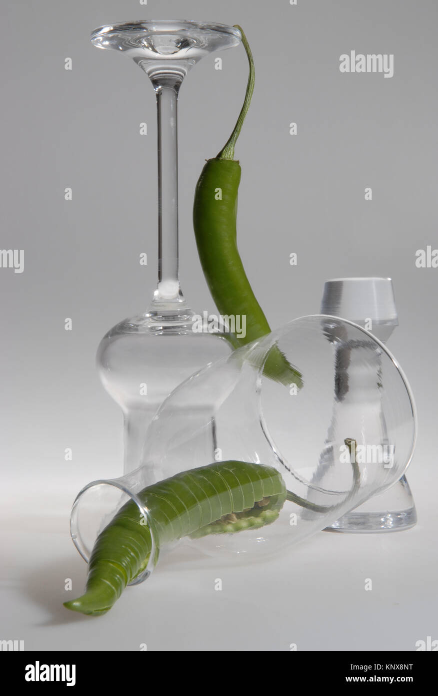 Pods of spicy green peppers among glass transparent dishes on a light ...